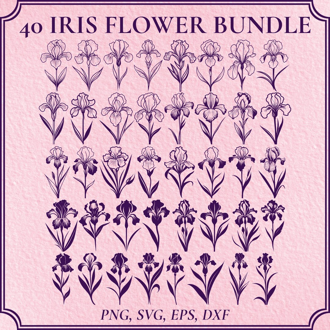 Iris Flower SVG Bundle, 40 Cut File Cricut Silhouette, Siberian Iris ...
