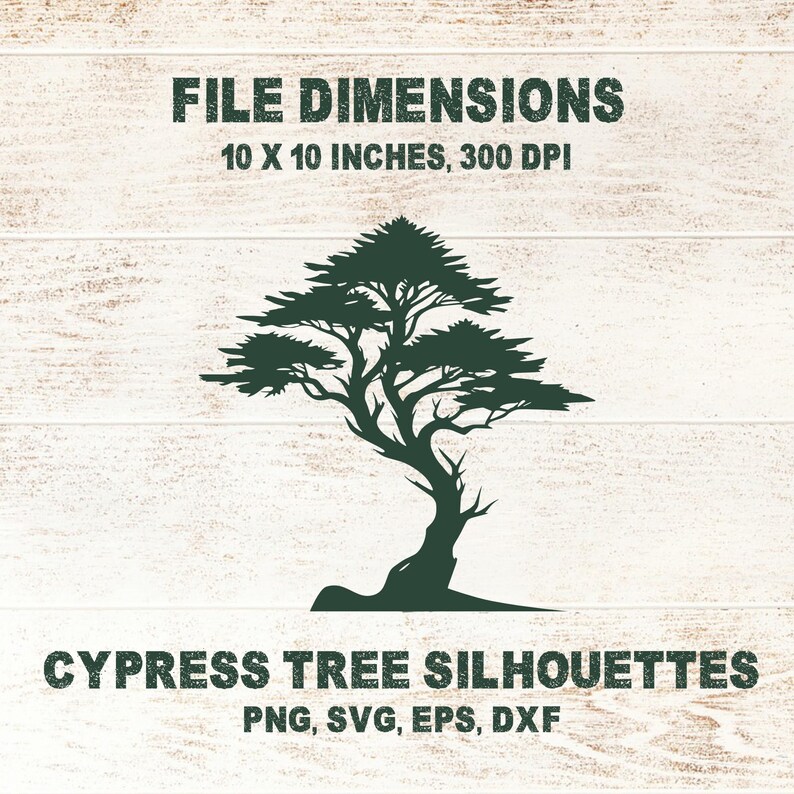 30 Cypress Tree SVG Bundle, Cypress Forest Pine PNG DXF, Evergreen ...