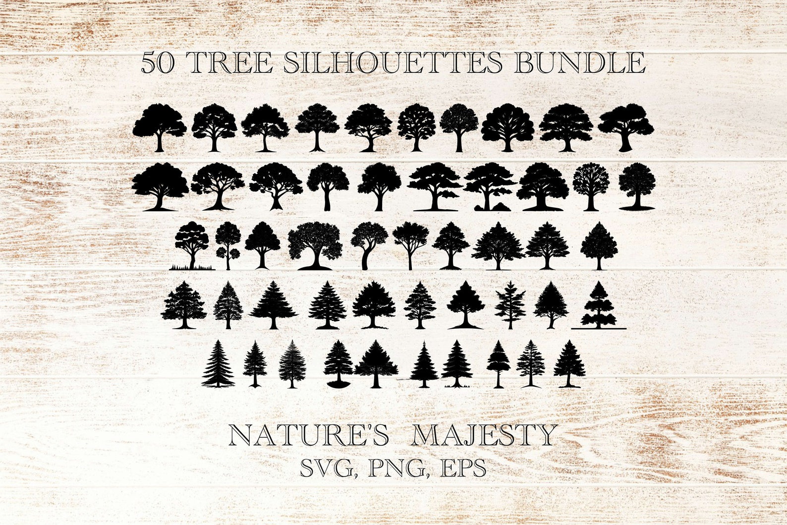 50 Tree Silhouette Bundle Clipart, Woodland Forest Oak PNG SVG, Beech ...