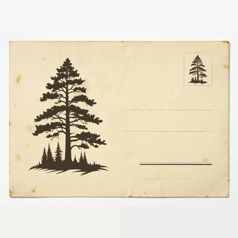 40 Cedar Tree SVG Bundle, Woodland Forest Collection of Cedrus ...