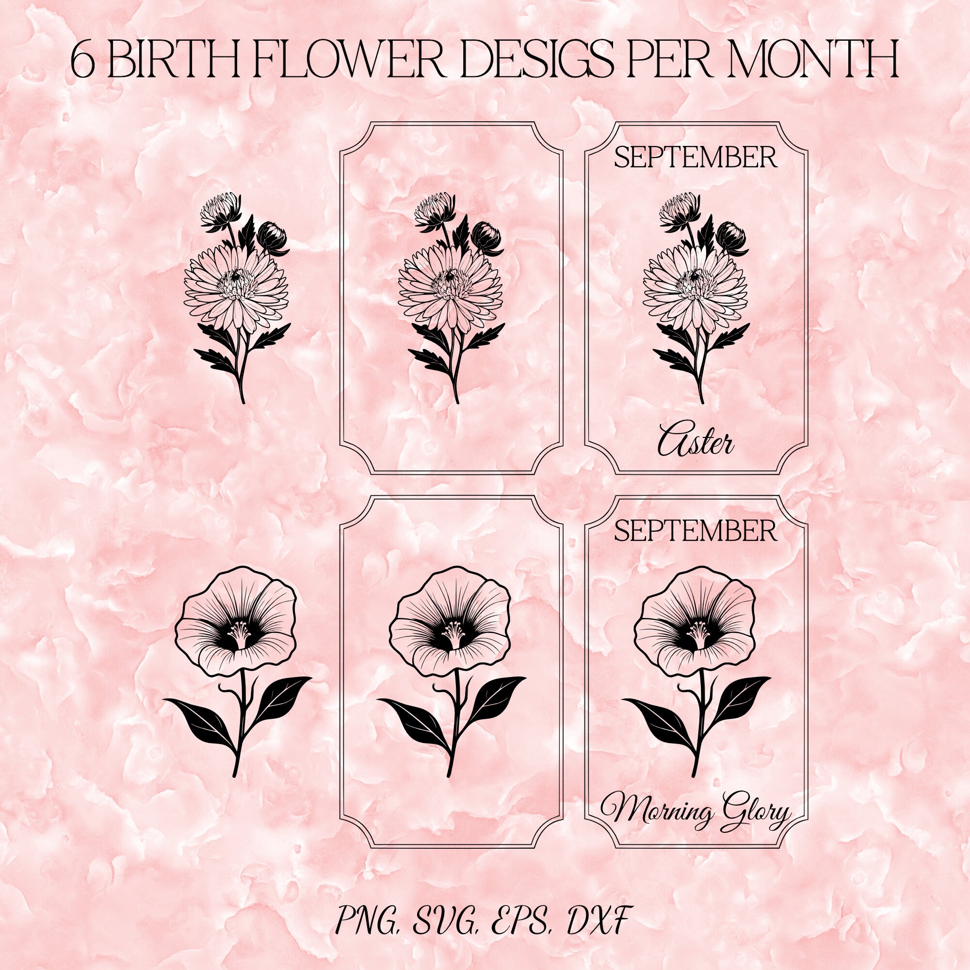 Birth Flower SVG PNG Bundle, Month Birth Flower Symbol Frame, 72 Cut ...