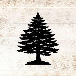 50 Tree Silhouette Bundle Clipart, Woodland Forest Oak PNG SVG, Beech ...