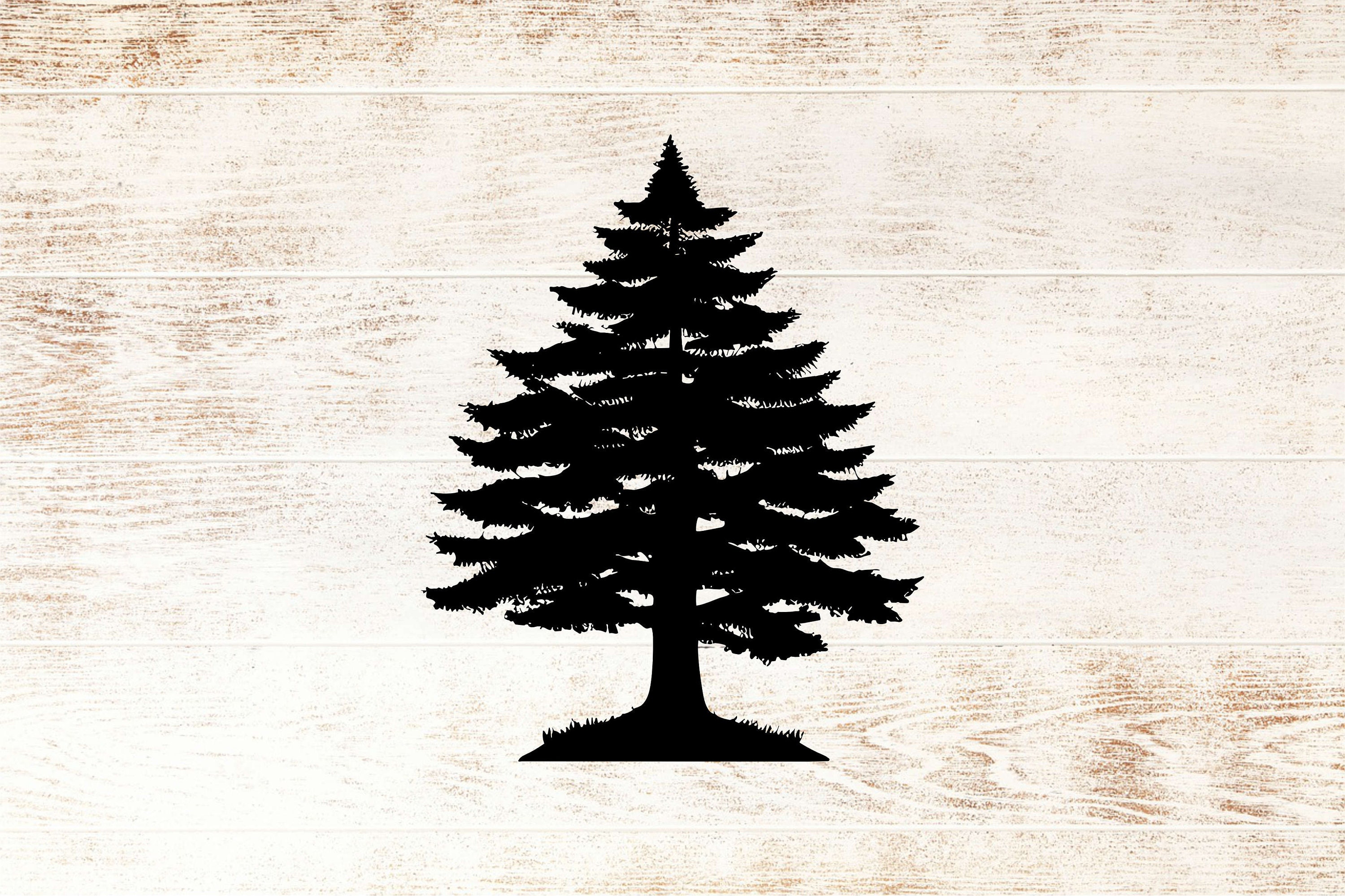 50 Tree Silhouette SVG Bundle, Woodland Forest Oak PNG, Cedar Beech ...