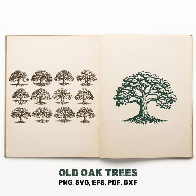 Old Oak Tree Roots SVG Bundle, 12 Outline Cut File Cricut, Nature Craft ...