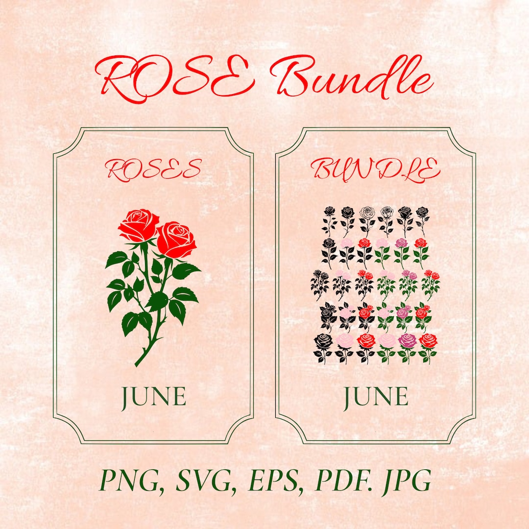 Rose Birth Flower SVG Bundle, June Month PNG Clipart for Crafts, 32 ...