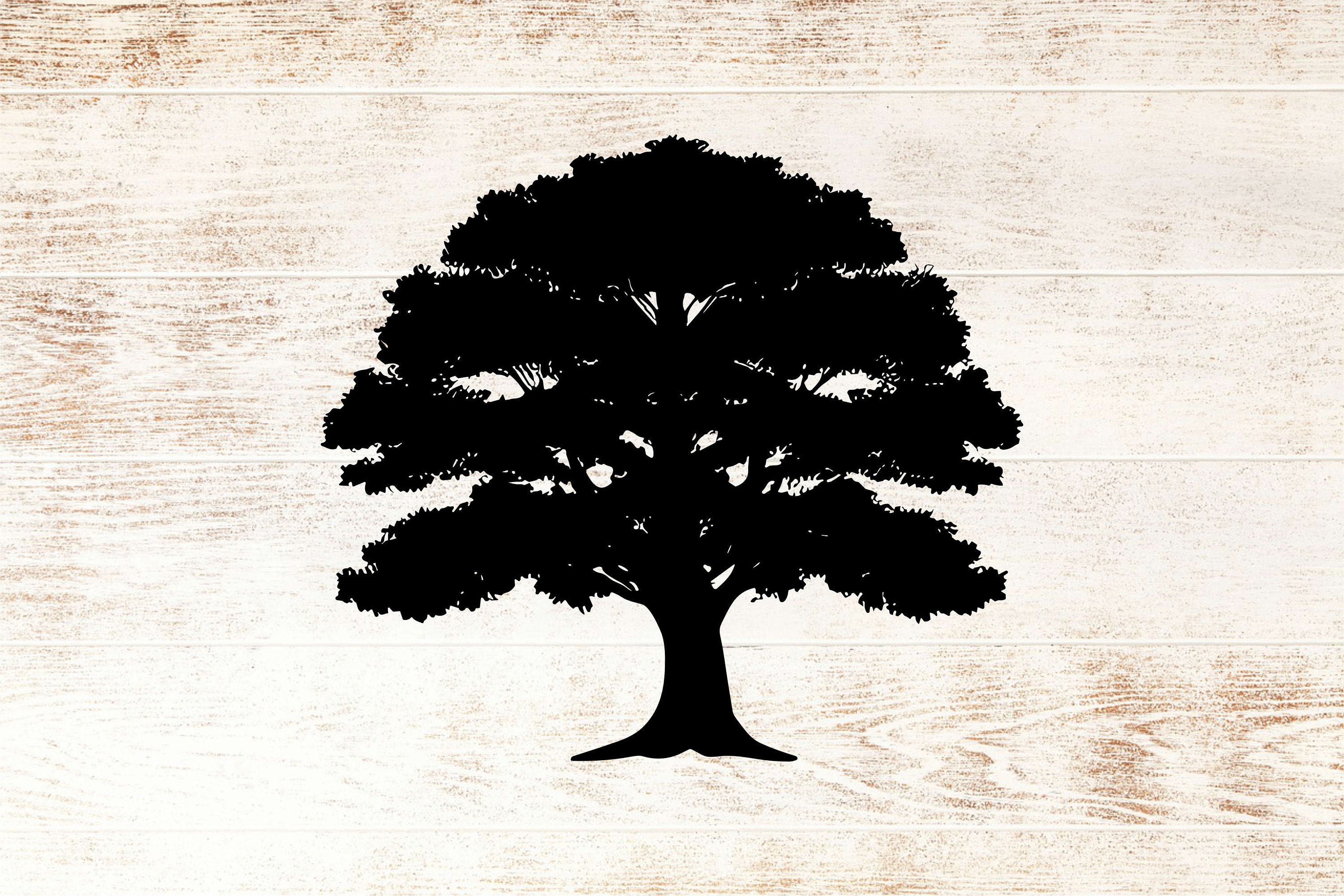 50 Tree Silhouette SVG Bundle, Woodland Forest Oak PNG, Cedar Beech ...
