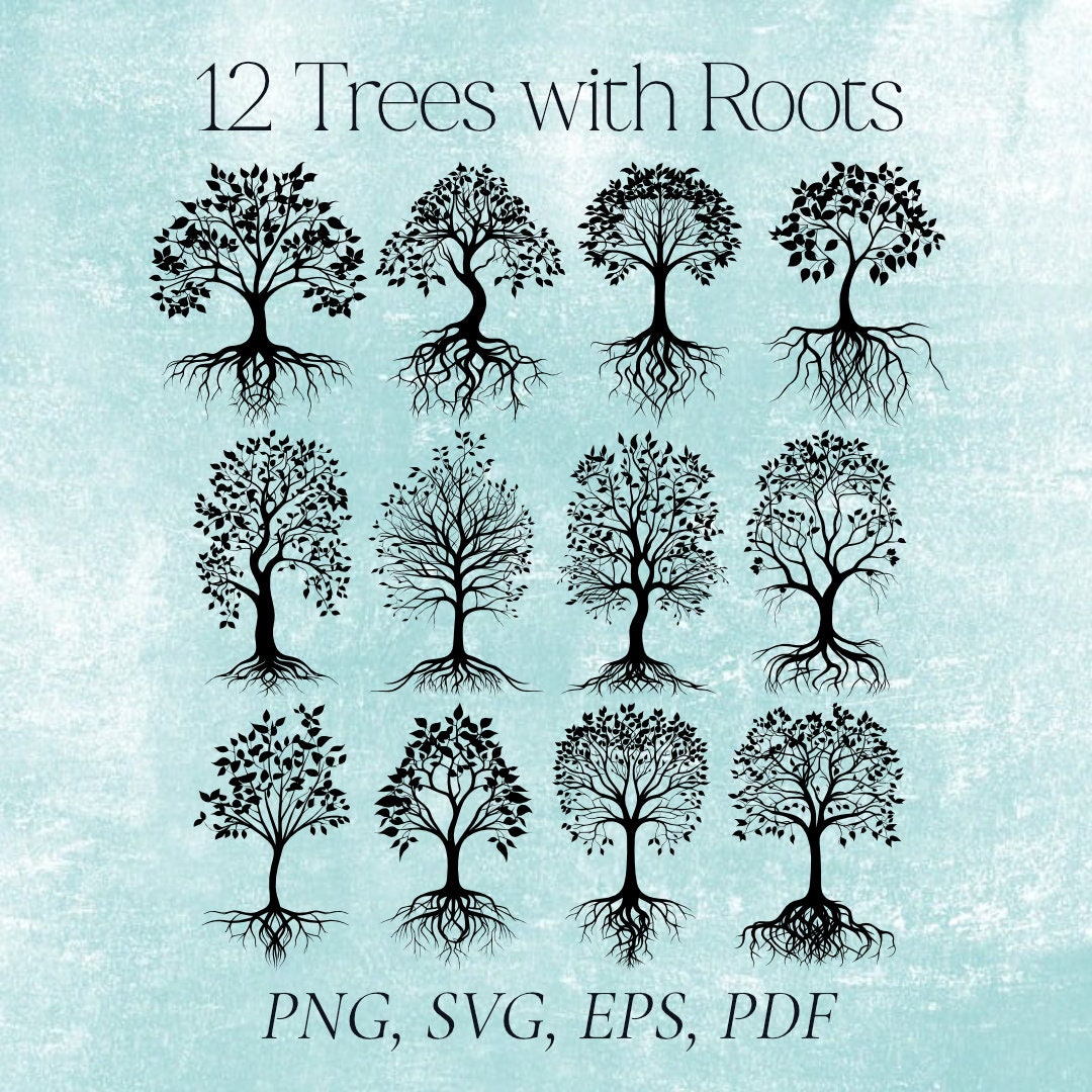 Trees With Roots SVG Bundle, Broadleaf Silhouette Clipart PNG, ESP Cut ...