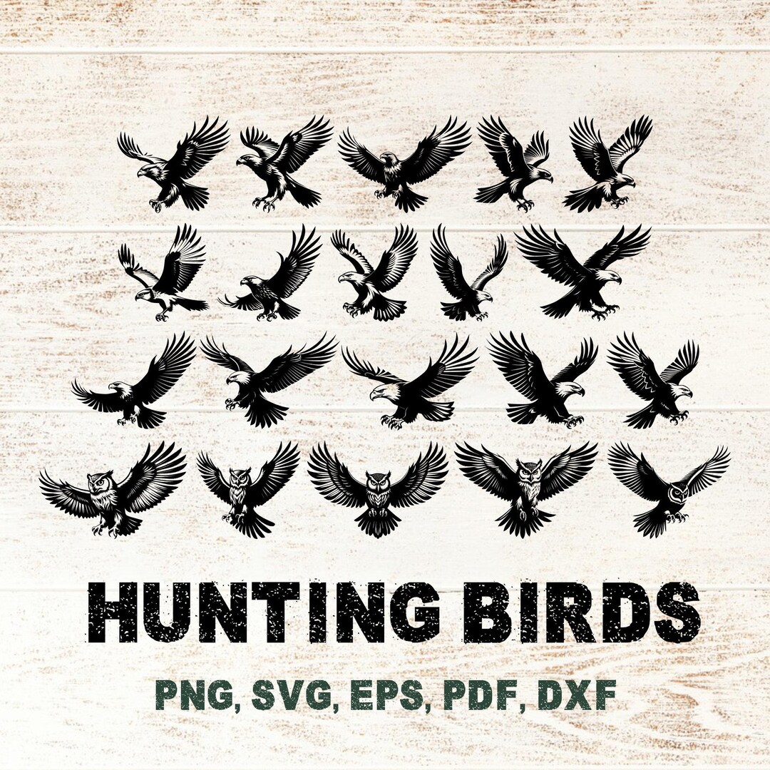 Hinting Birds of Prey SVG Bundle, Bald Eagle Falcon Hawk Owl Osprey PNG ...