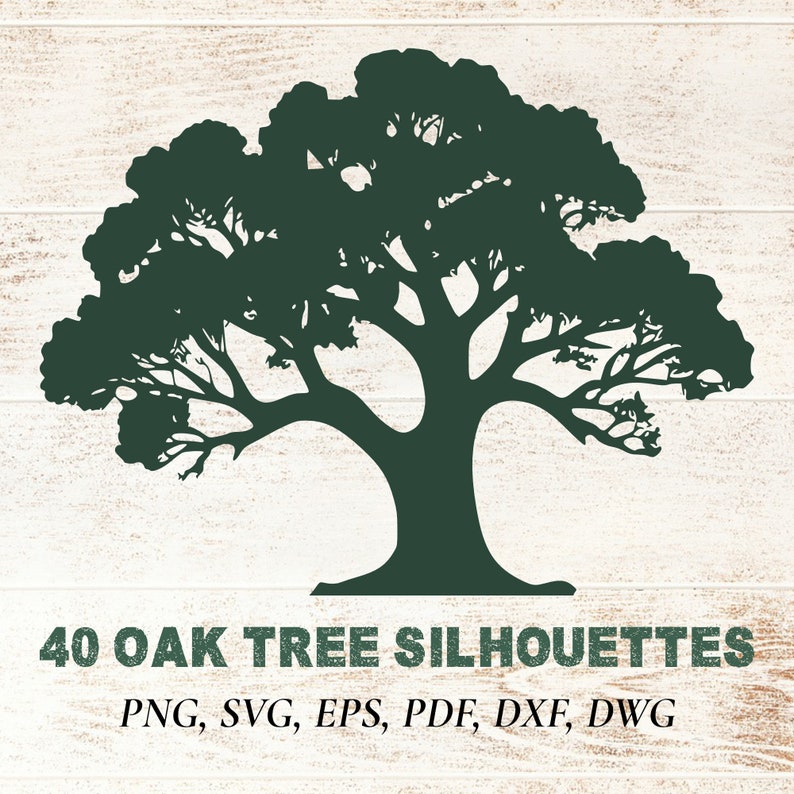 40 Oak Tree SVG Bundle, Woodland Forest Collection of Oak Silhouette ...
