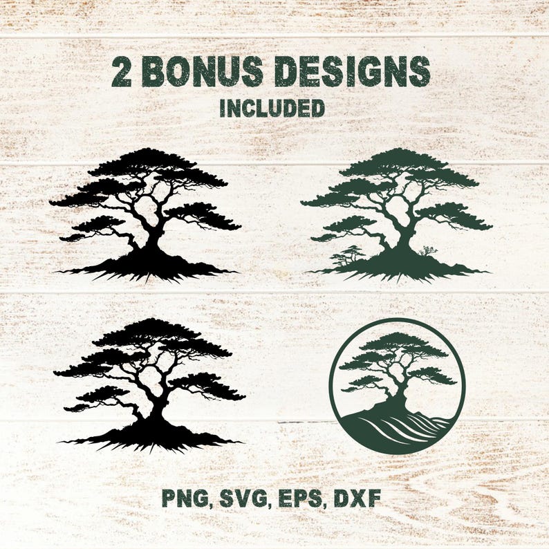Zen Tree SVG Bundle, Oak Silhouette Bonsai PNG, Cut File Cricut DXF ...