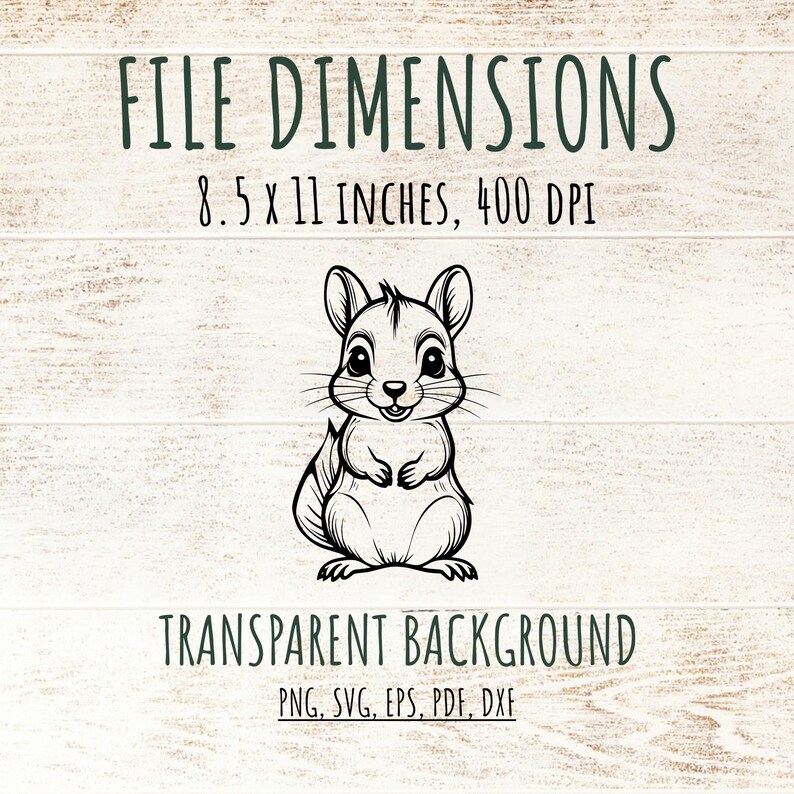 20 Chipmunk Outline SVG PNG Bundle, Cute Forest Animal Cut Files for Scrapbooking, Card Making ...