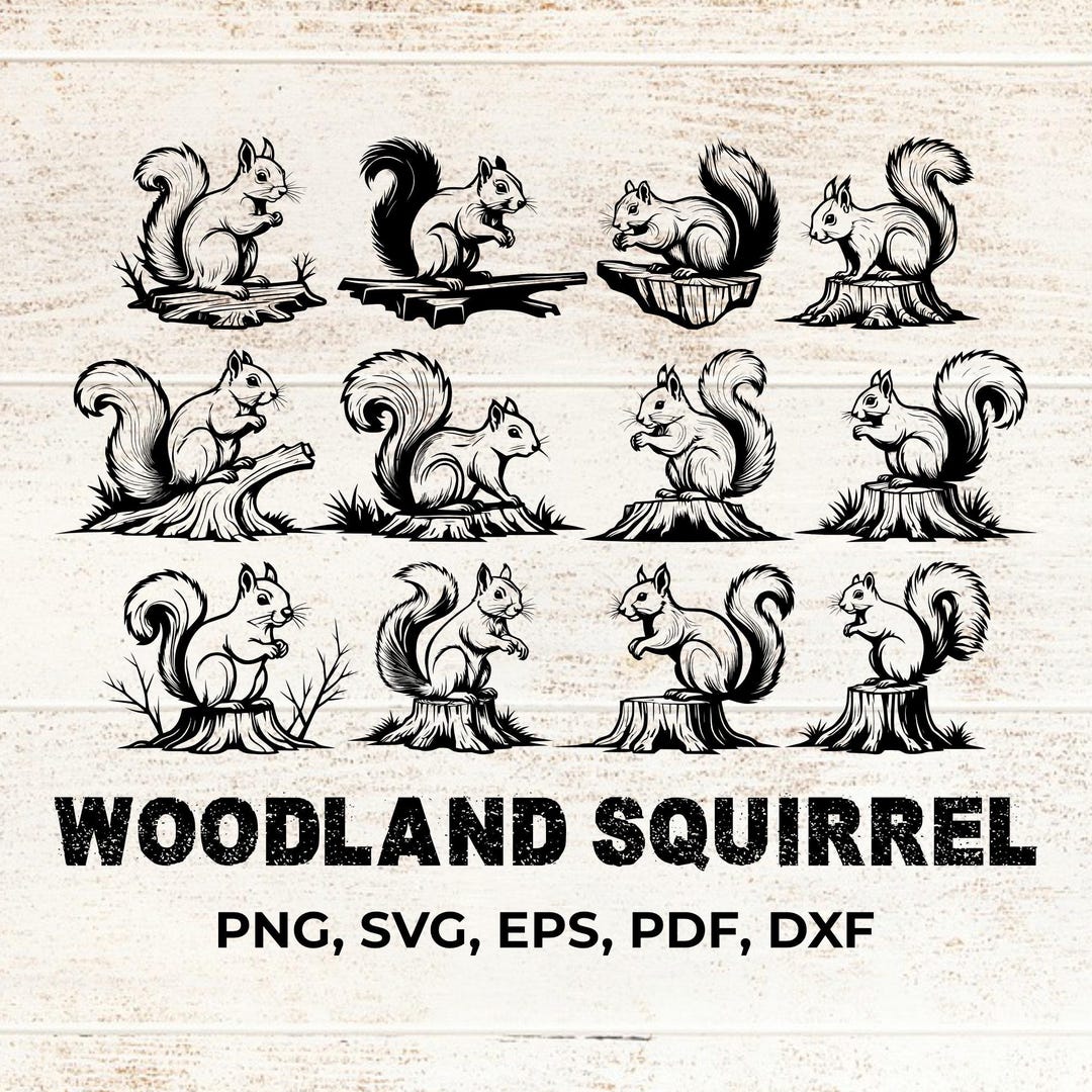 Woodland Squirrel SVG Bundle, Outline Cut Files DXF, Forest Chipmunk ...
