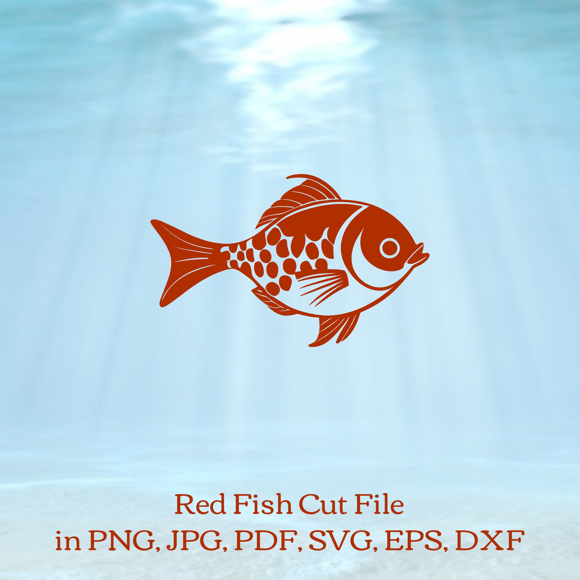 Vibrant Ocean Fish SVG Clipart Set of Fish Silhouette for Kid - Etsy