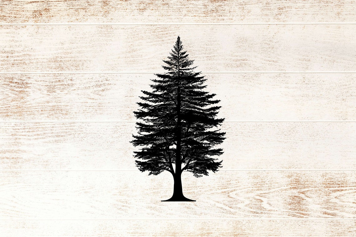 50 Tree Silhouette Bundle Clipart, Woodland Forest Oak PNG SVG, Beech ...