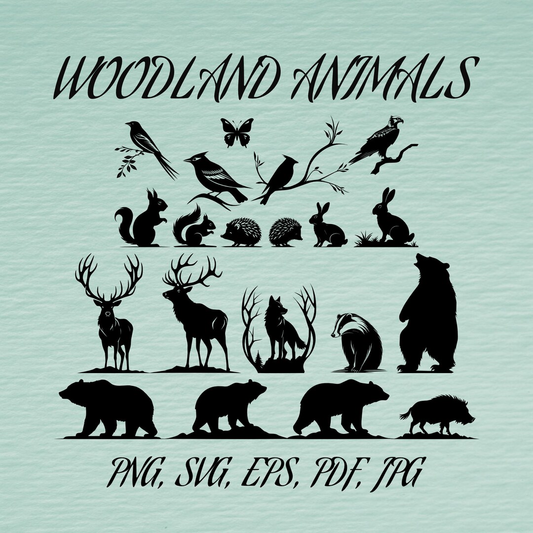 Woodland Animals SVG Bundle PNG, Bird Pack Osprey Cut Files, Squirrel ...