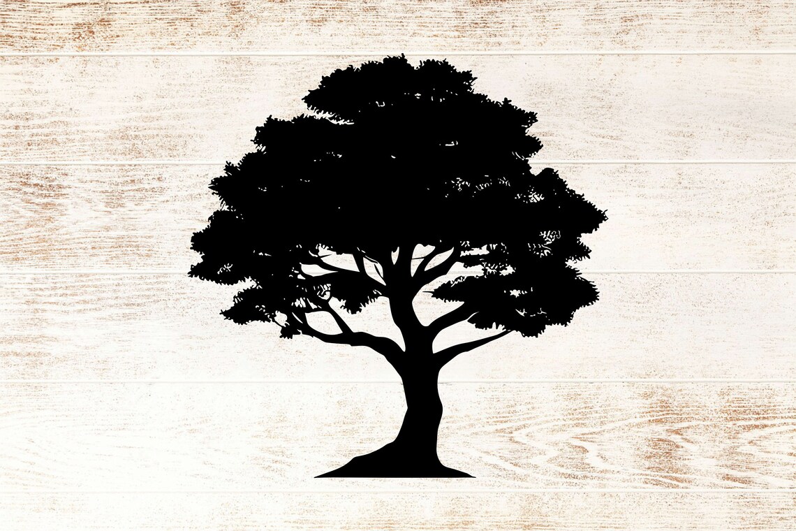 50 Tree Silhouette Bundle Clipart, Woodland Forest Oak PNG SVG, Beech ...