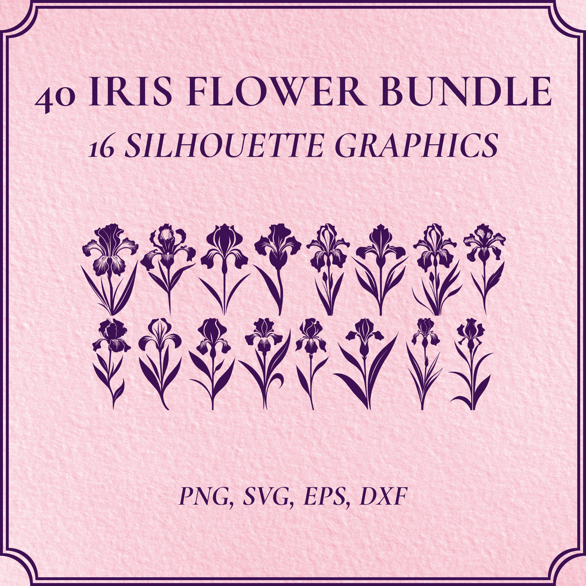 Iris Flower SVG Bundle, 40 Cut File Cricut Silhouette, Siberian Iris ...