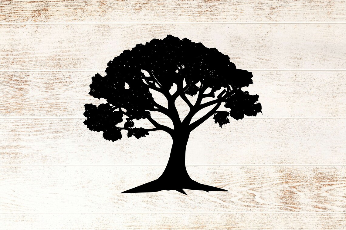 50 Tree Silhouette Bundle Clipart, Woodland Forest Oak PNG SVG, Beech ...