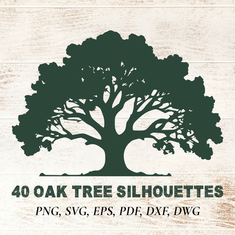 40 Oak Tree SVG Bundle, Woodland Forest Collection of Oak Silhouette ...