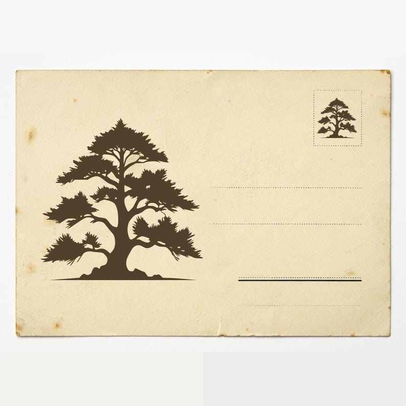 Cypress Tree SVG Bundle, 30 Designs Italian Landscape Silhouette ...
