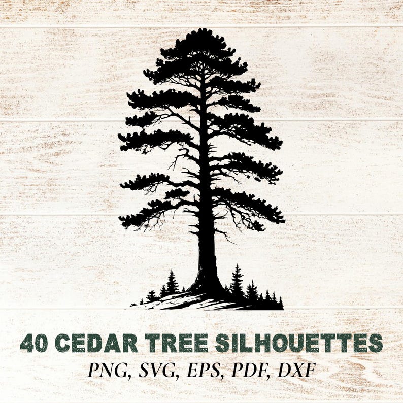 40 Cedar Tree SVG Bundle, Woodland Forest Collection of Cedrus ...