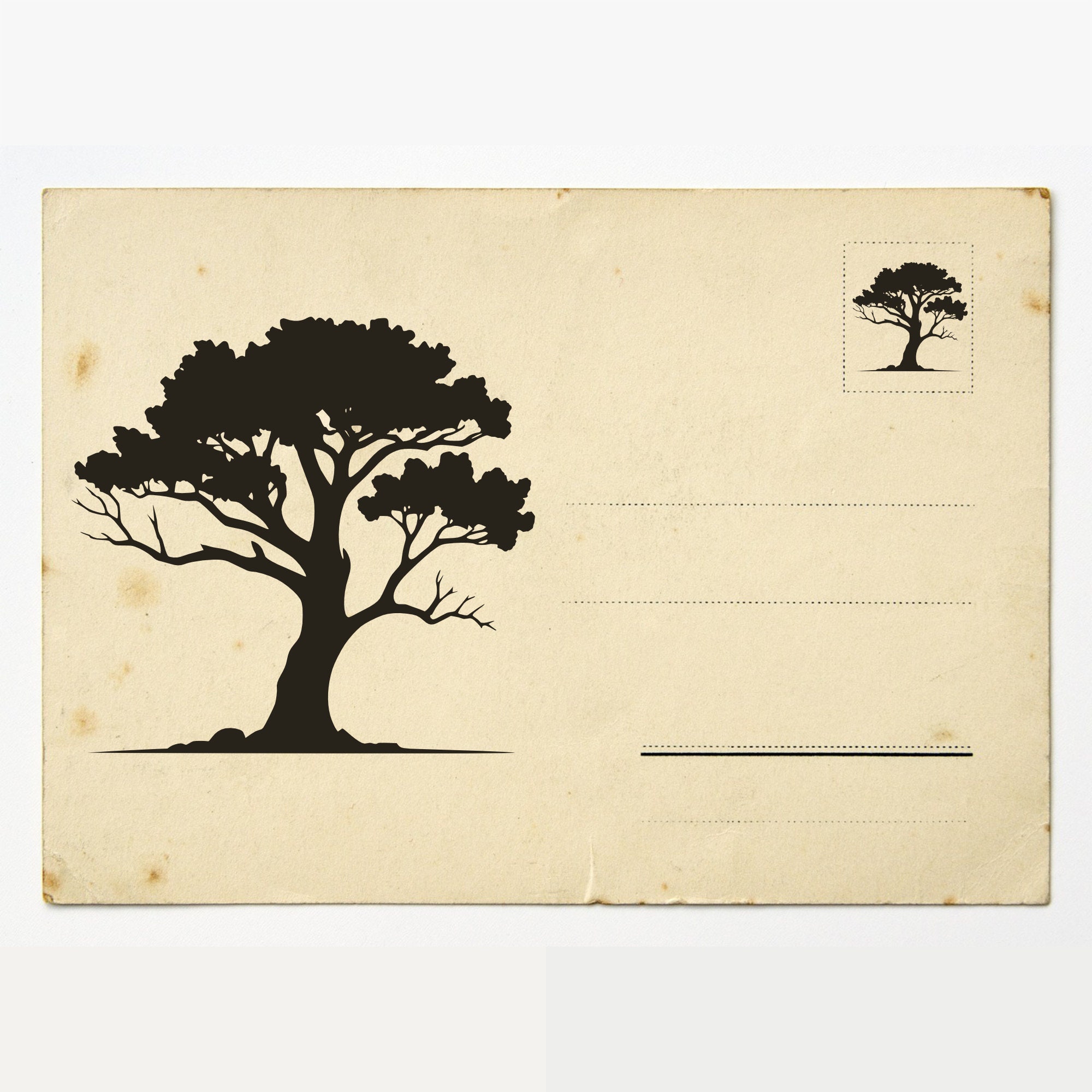 100 Tree Silhouette SVG PNG Bundle, Oak Tree Beech Species, Woodland ...
