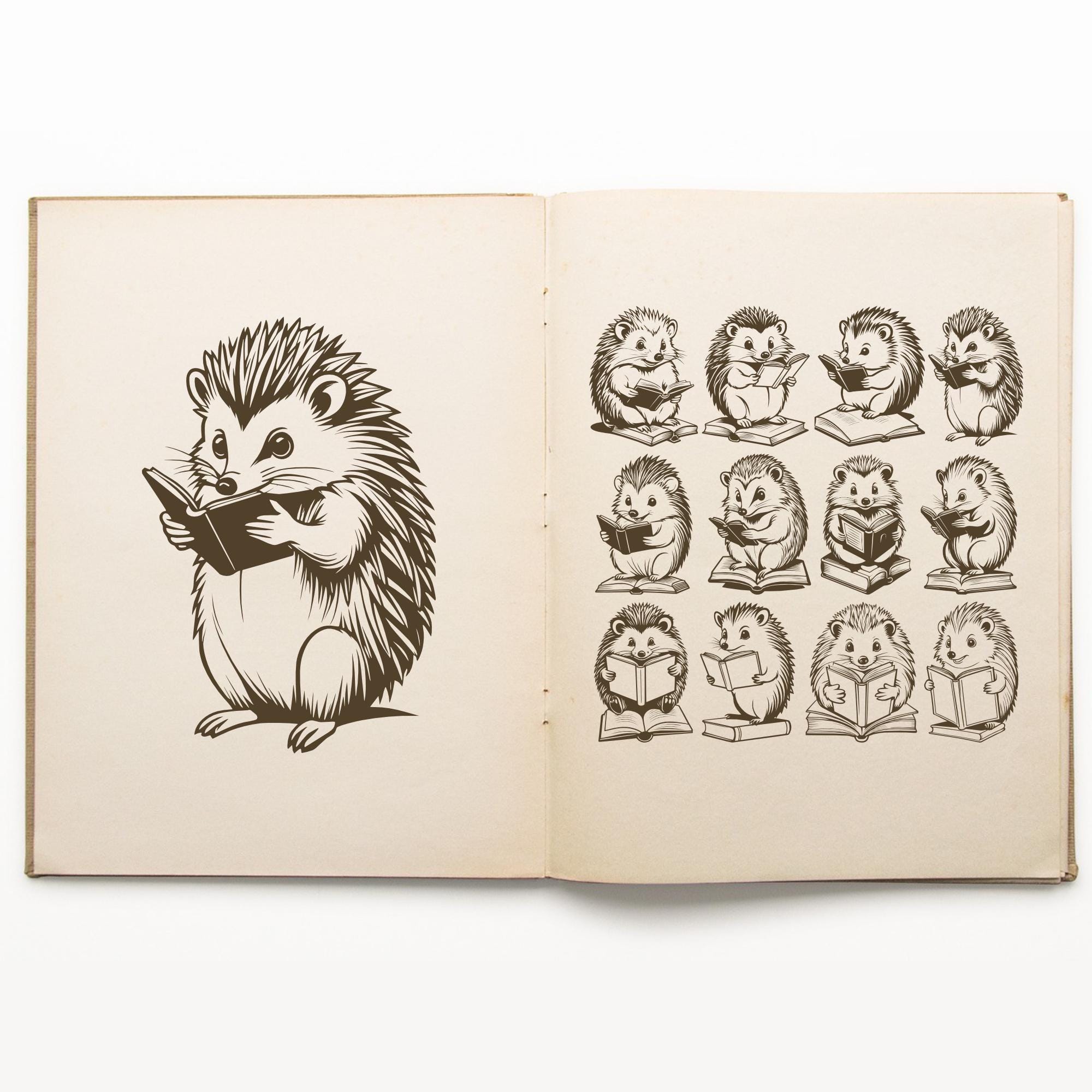 Hedgehog Reading Book SVG PNG Bundle, Bookworm Hedgehog Literary Club ...