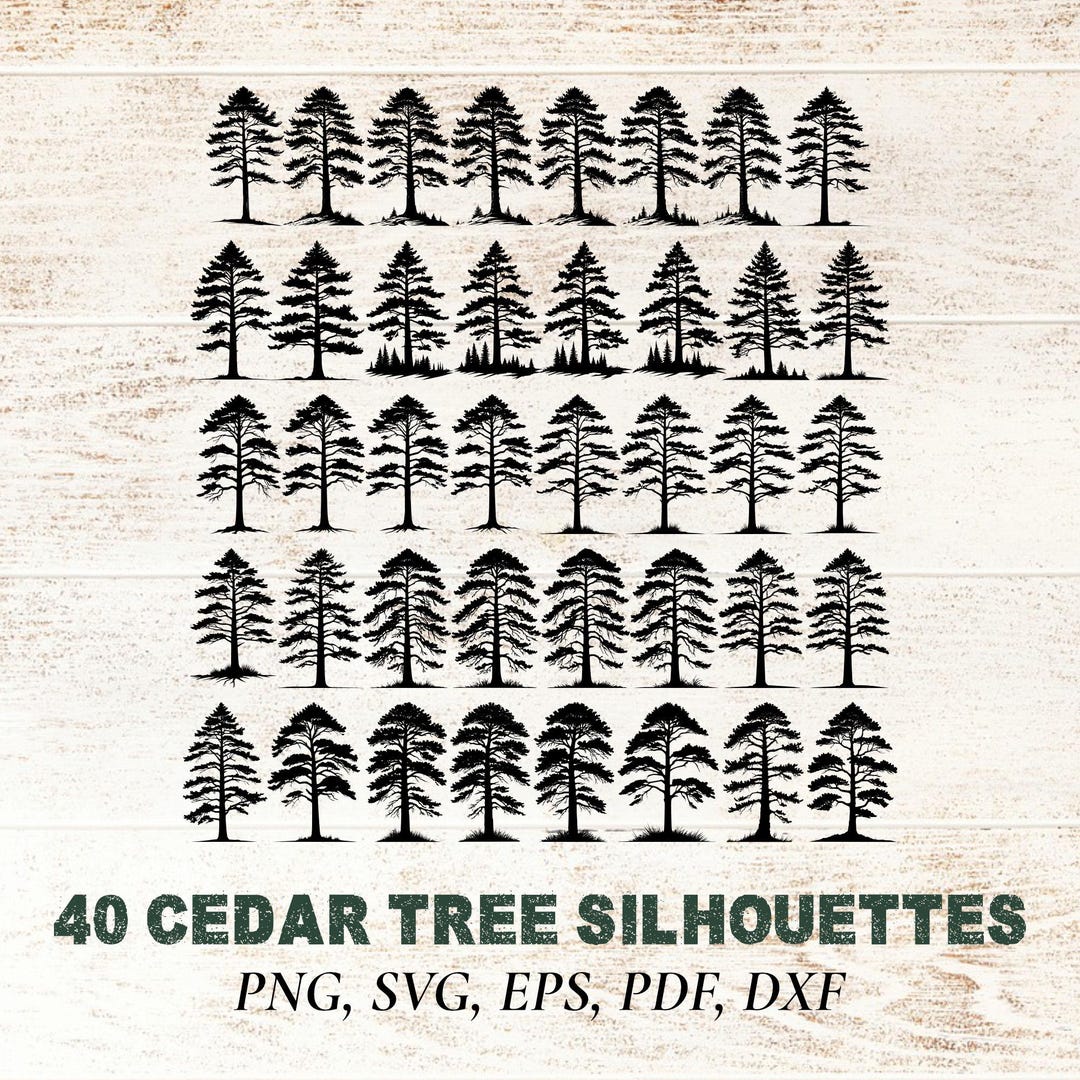 40 Cedar Tree SVG Bundle, Woodland Forest Collection of Cedrus ...