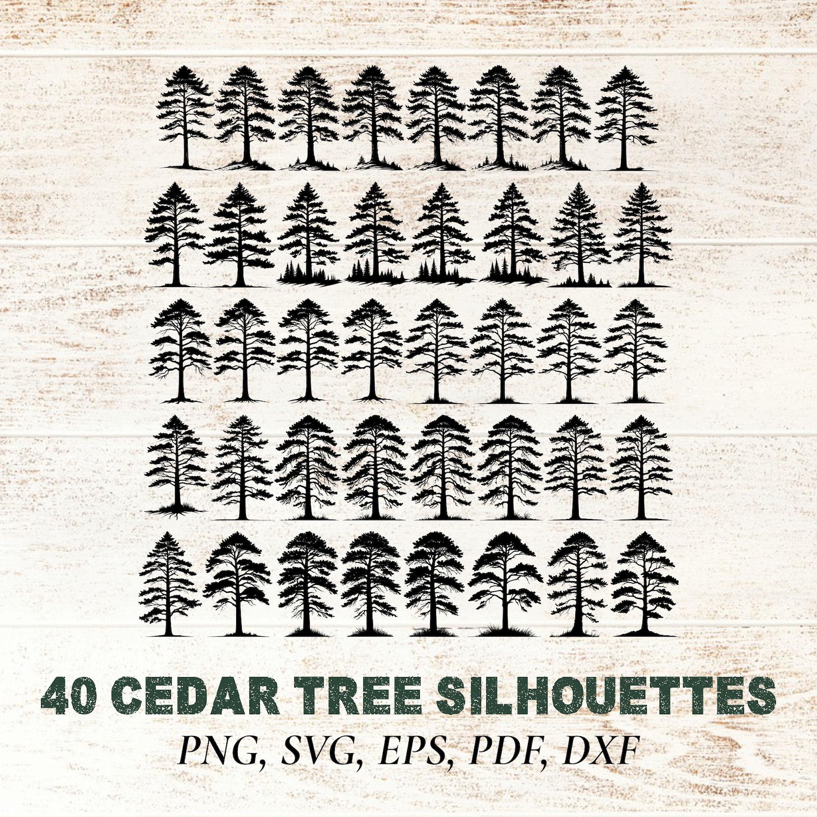 40 Cedar Tree SVG Bundle, Woodland Forest Collection of Cedrus ...