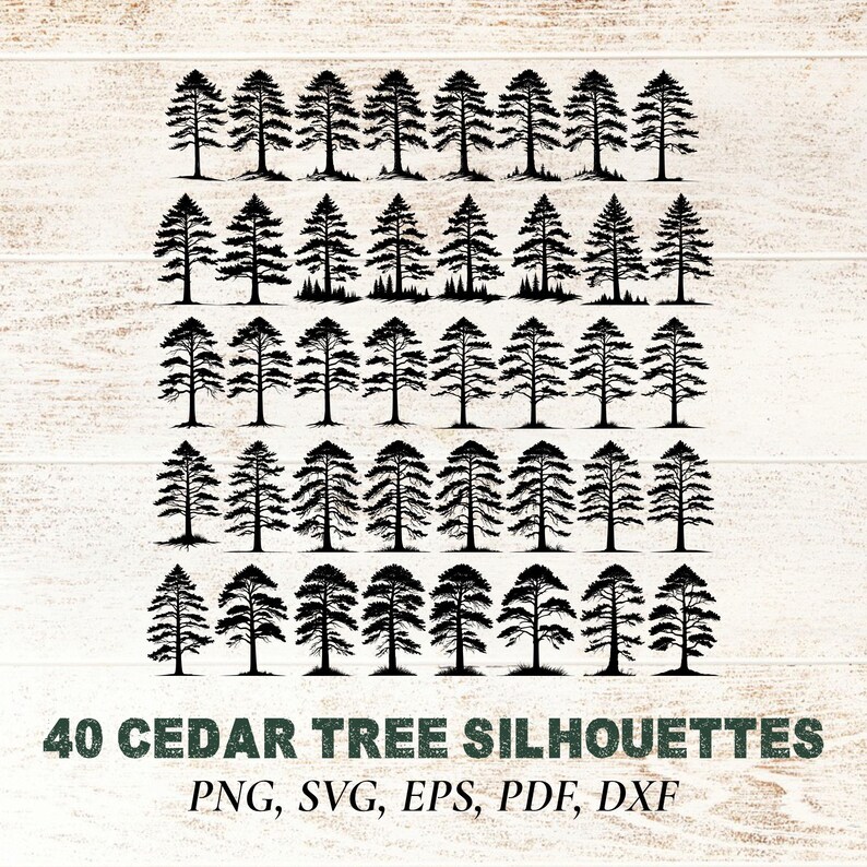 40 Cedar Tree SVG Bundle, Woodland Forest Collection of Cedrus ...