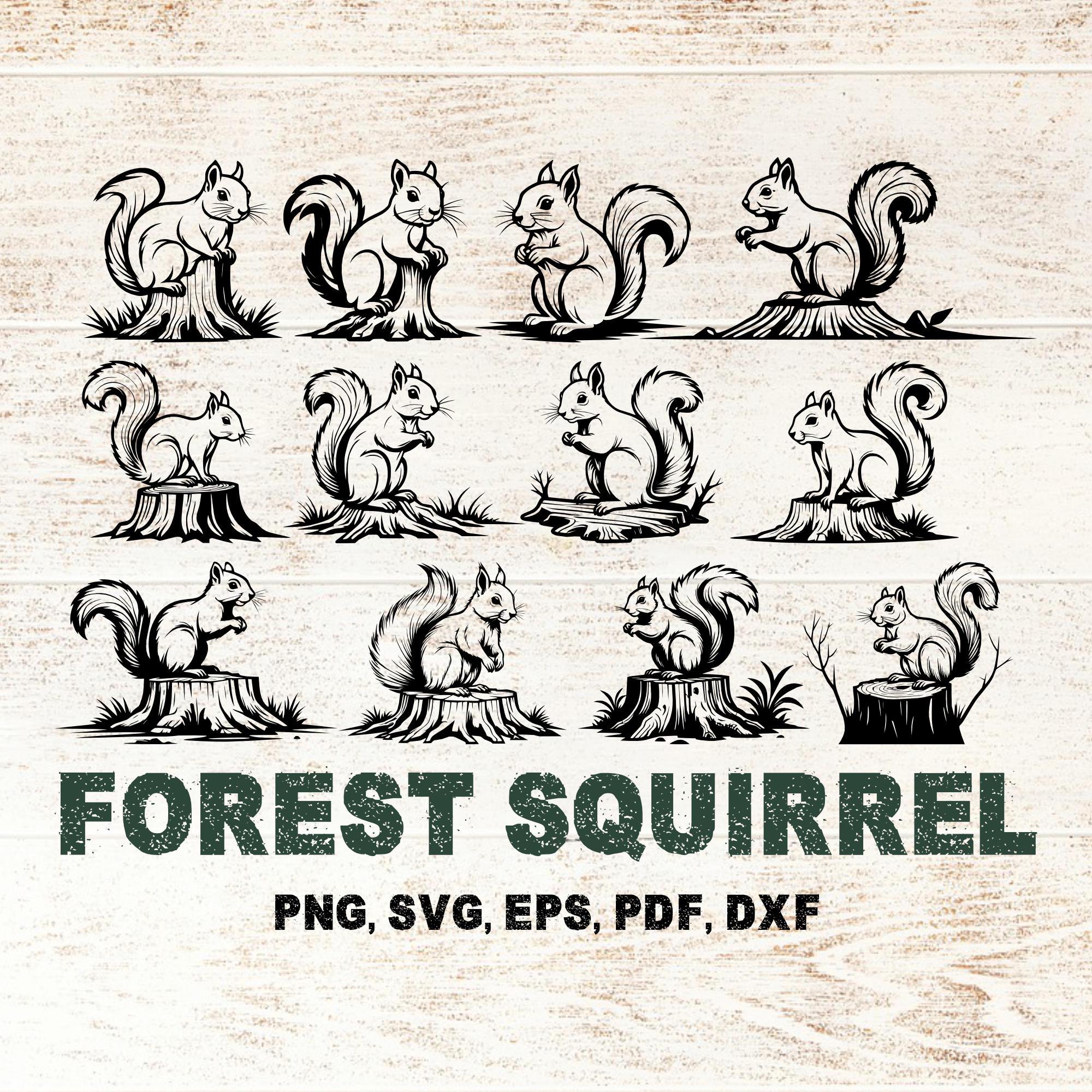Squirrel SVG Bundle: Woodland Cut Files for Card Making (digital ...