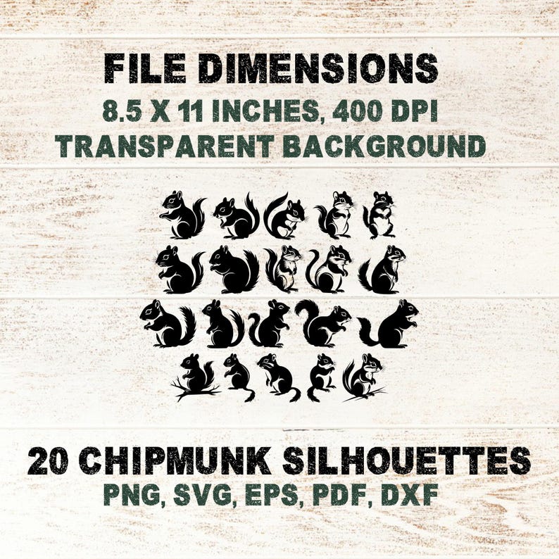 Chipmunk Bundle SVG, Ground Squirrel Outline PNG, 35 Cut File Cricut ...