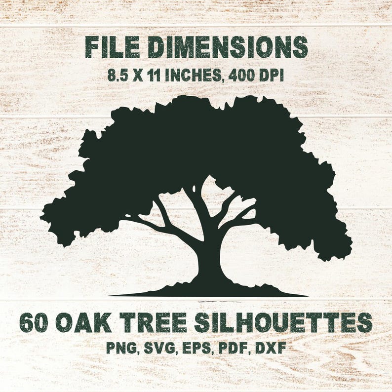 60 Oak Tree SVG Bundle, Woodland Forest Oak Silhouette, Oak Diversity ...