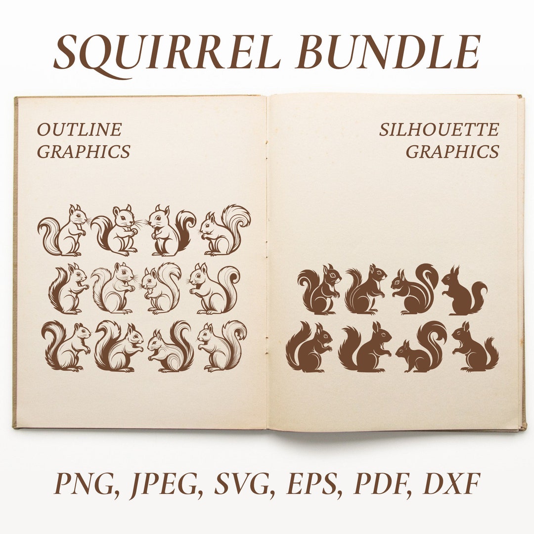 20 Squirrel SVG PNG Bundle, 12 Outline Cut Files, 8 Cricut Silhouette ...