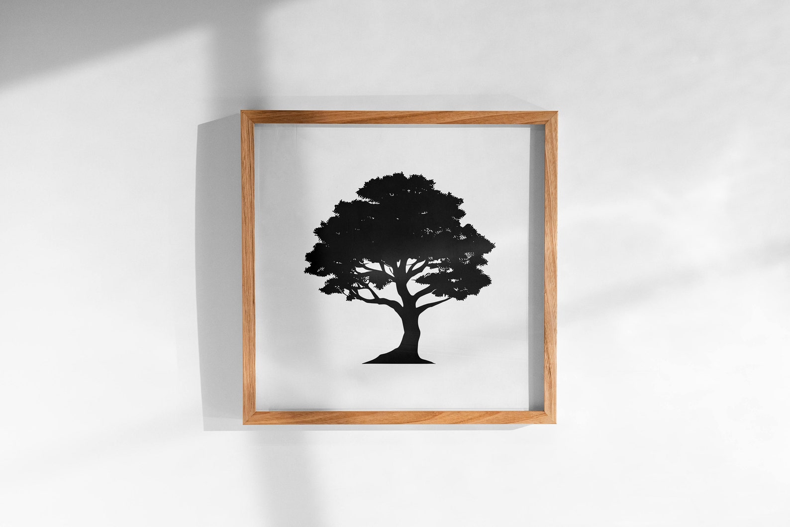 50 Tree Silhouette Bundle Clipart, Woodland Forest Oak PNG SVG, Beech ...