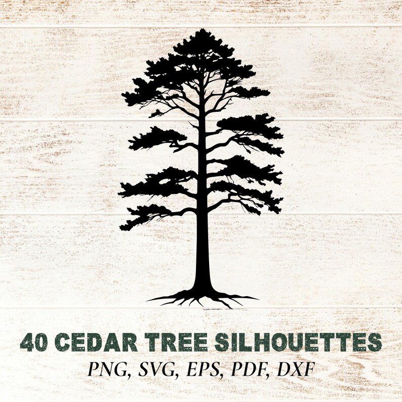 40 Cedar Tree SVG Bundle, Woodland Forest Collection of Cedrus ...