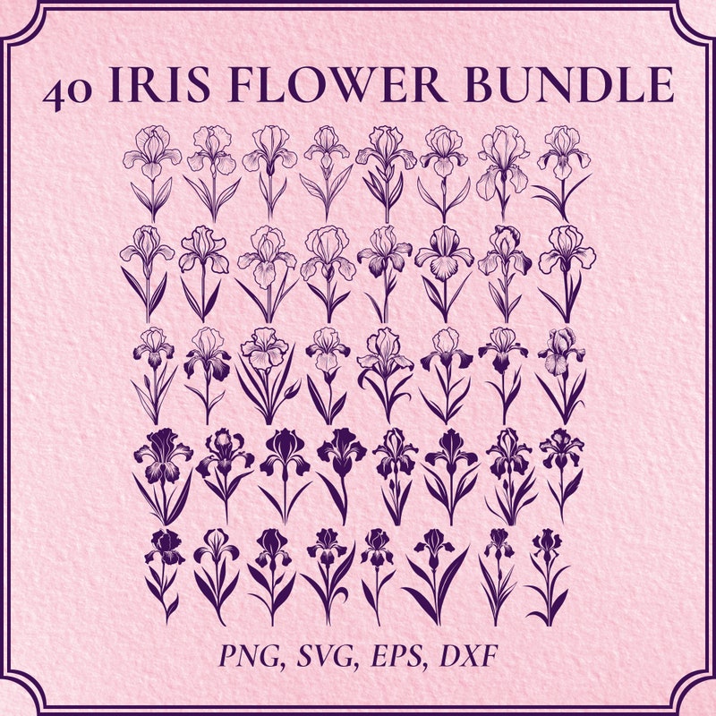 Iris Flower Svg - Etsy