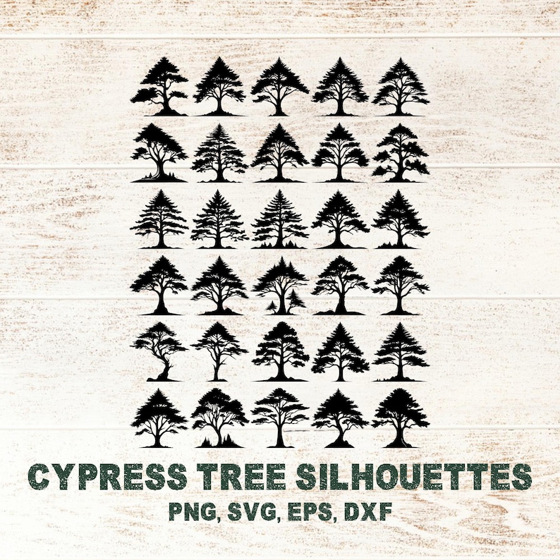 30 Cypress Tree SVG Bundle, Cypress Forest Pine PNG DXF, Evergreen ...