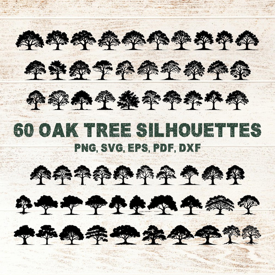 60 Oak Tree SVG Bundle, Woodland Forest Oak Silhouette, Oak Diversity ...
