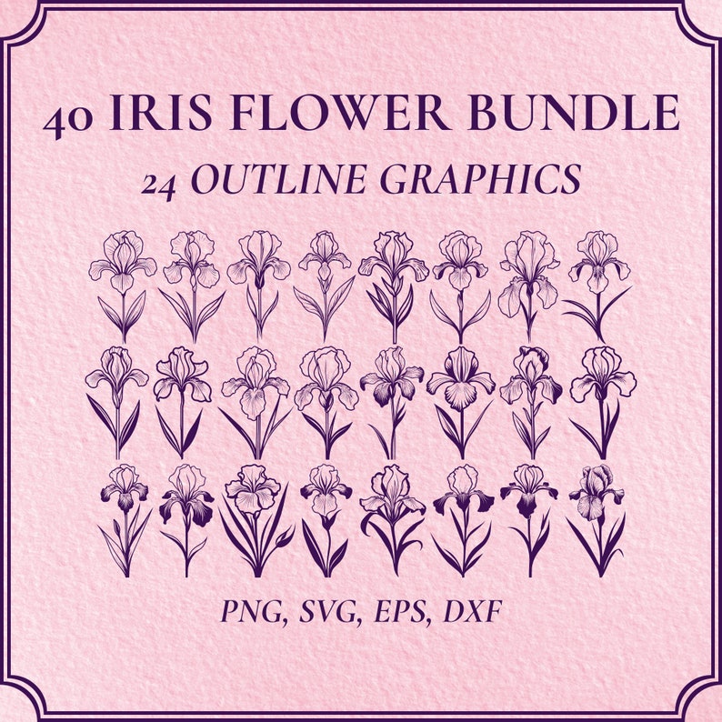 Iris Flower SVG Bundle, 40 Cut File Cricut Silhouette, Siberian Iris ...