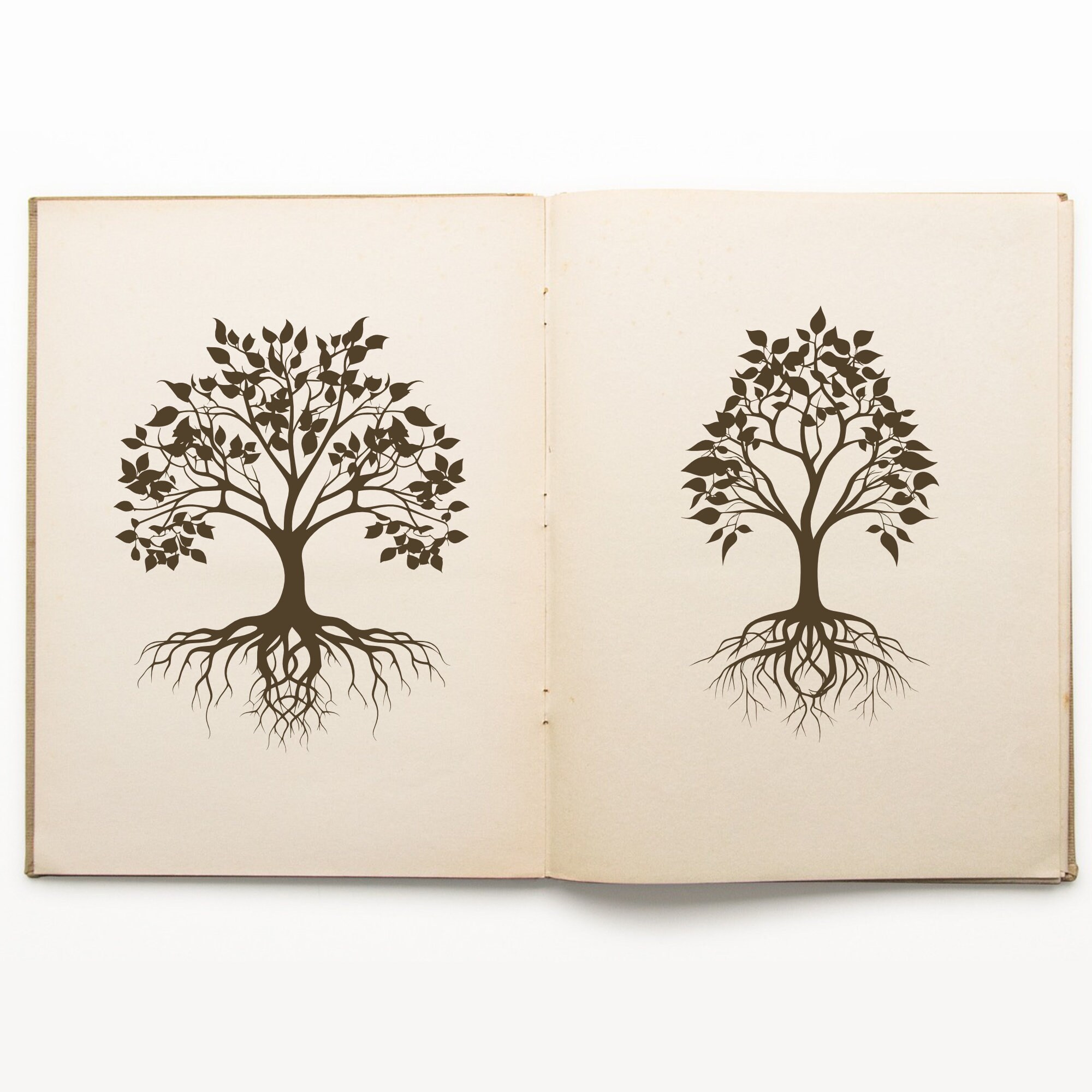 Trees With Roots SVG Bundle, Broadleaf Silhouette Clipart PNG, ESP Cut ...