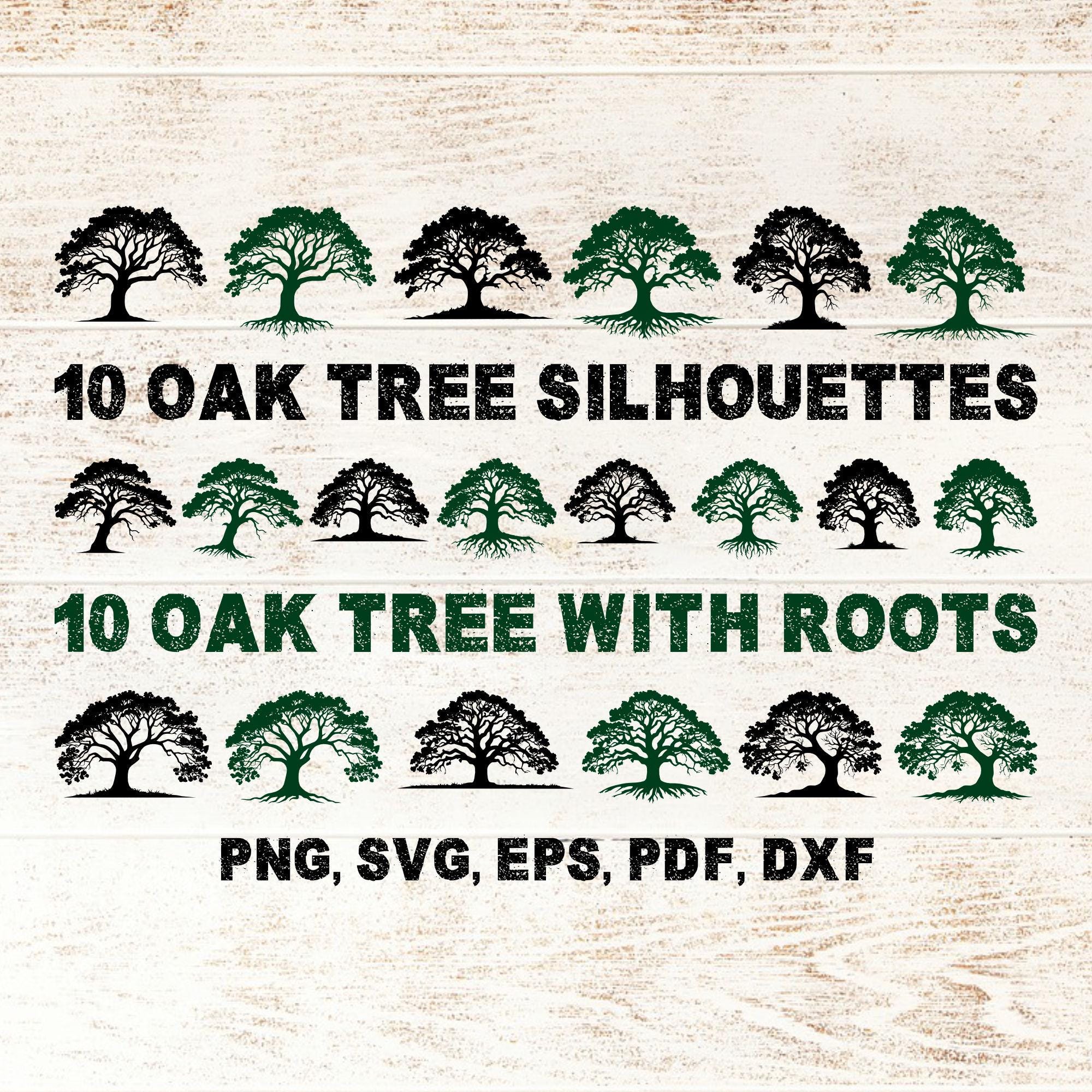 Oak Tree SVG Bundle, Family Tree With Roots PNG, Woodland Forest ...