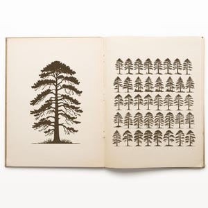40 Cedar Tree SVG Bundle, Woodland Forest Collection of Cedrus ...