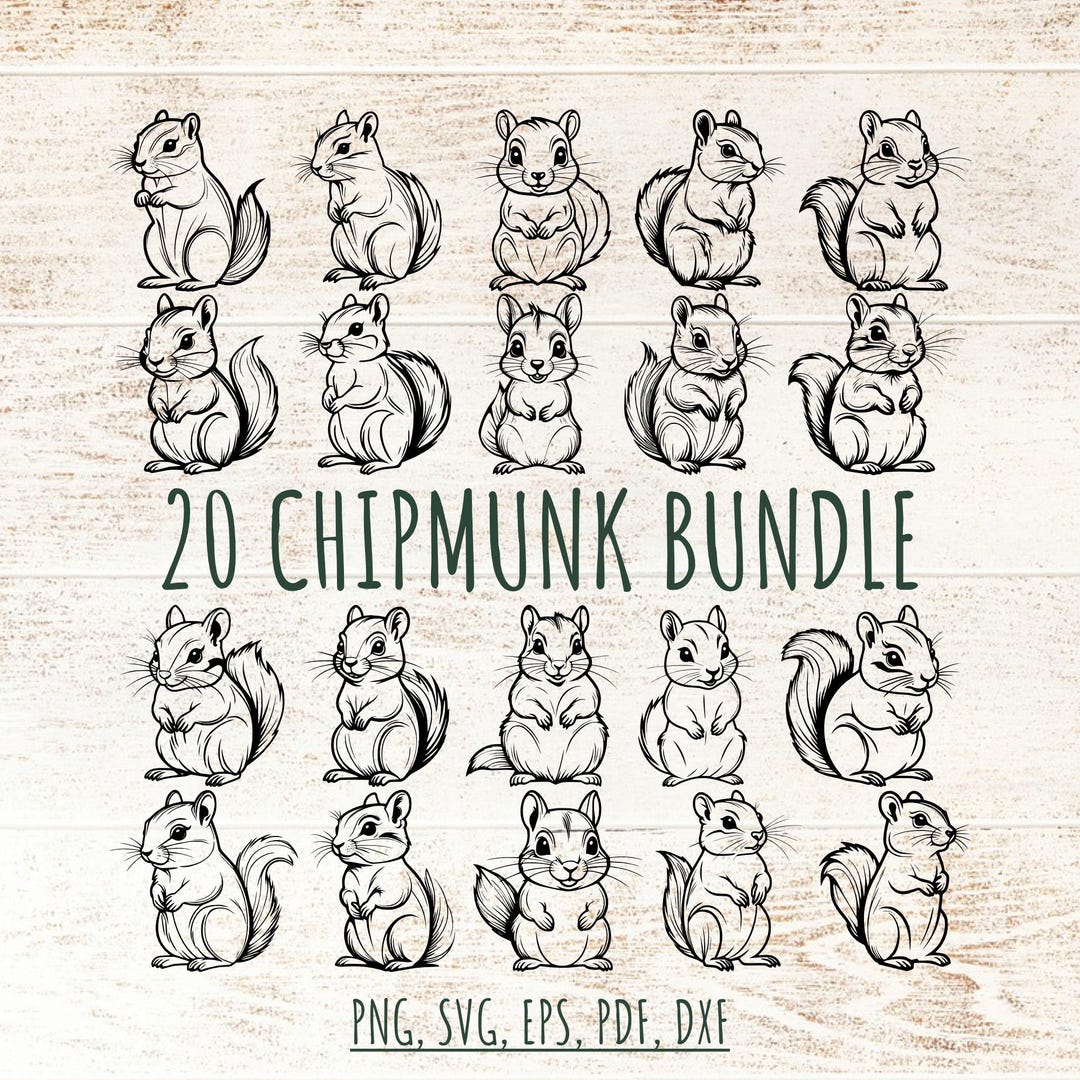 20 Chipmunk Outline SVG PNG Bundle, Cute Forest Animal Cut Files for ...