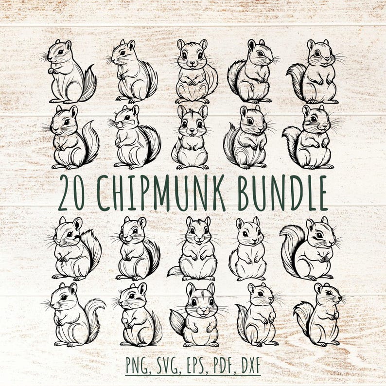 20 Chipmunk Outline SVG PNG Bundle, Cute Forest Animal Cut Files for ...