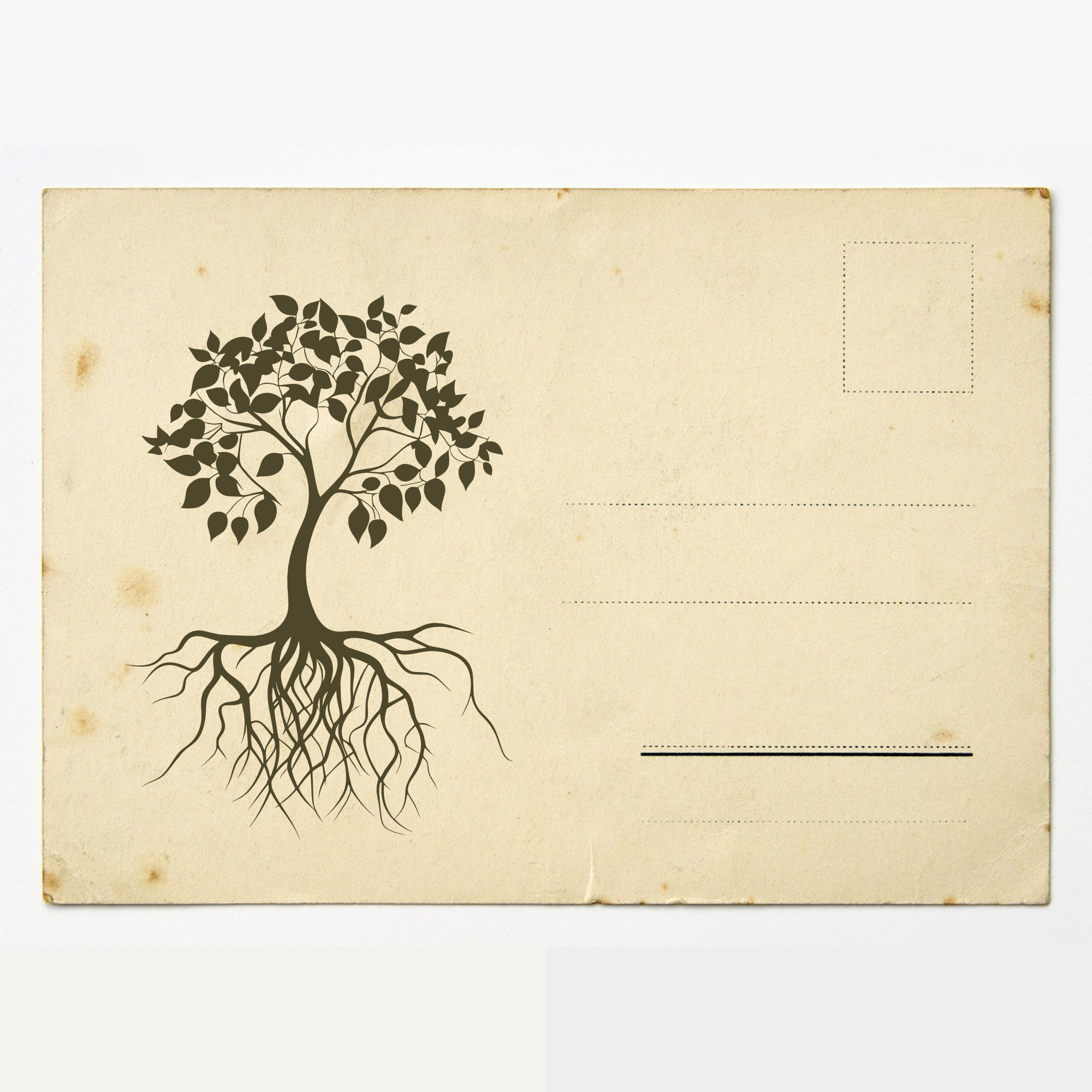 Trees With Roots SVG Bundle, Broadleaf Silhouette Clipart PNG, ESP Cut ...