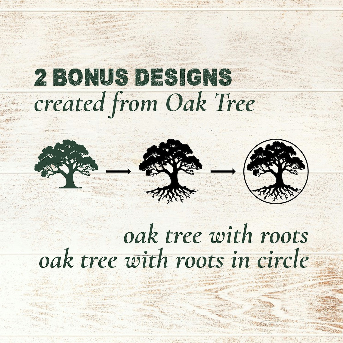 40 Oak Tree SVG Bundle, Woodland Forest Collection of Oak Silhouette ...