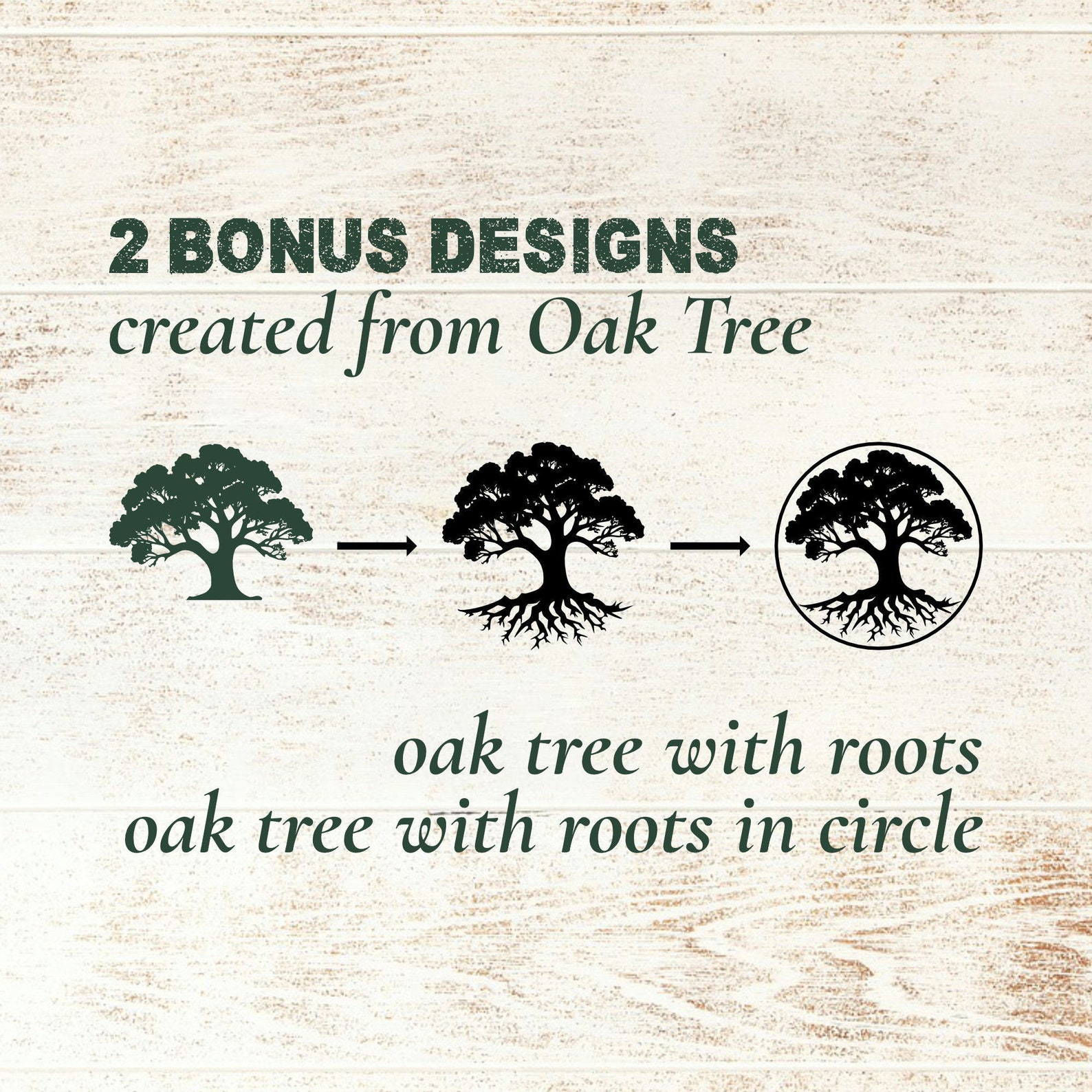 40 Oak Tree SVG Bundle, Woodland Forest Collection of Oak Silhouette ...