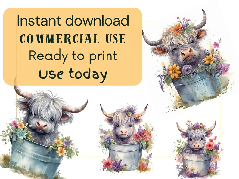 Watercolor Clipart Highland Cow Png Highland Cow Baby Shower Decor Baby ...