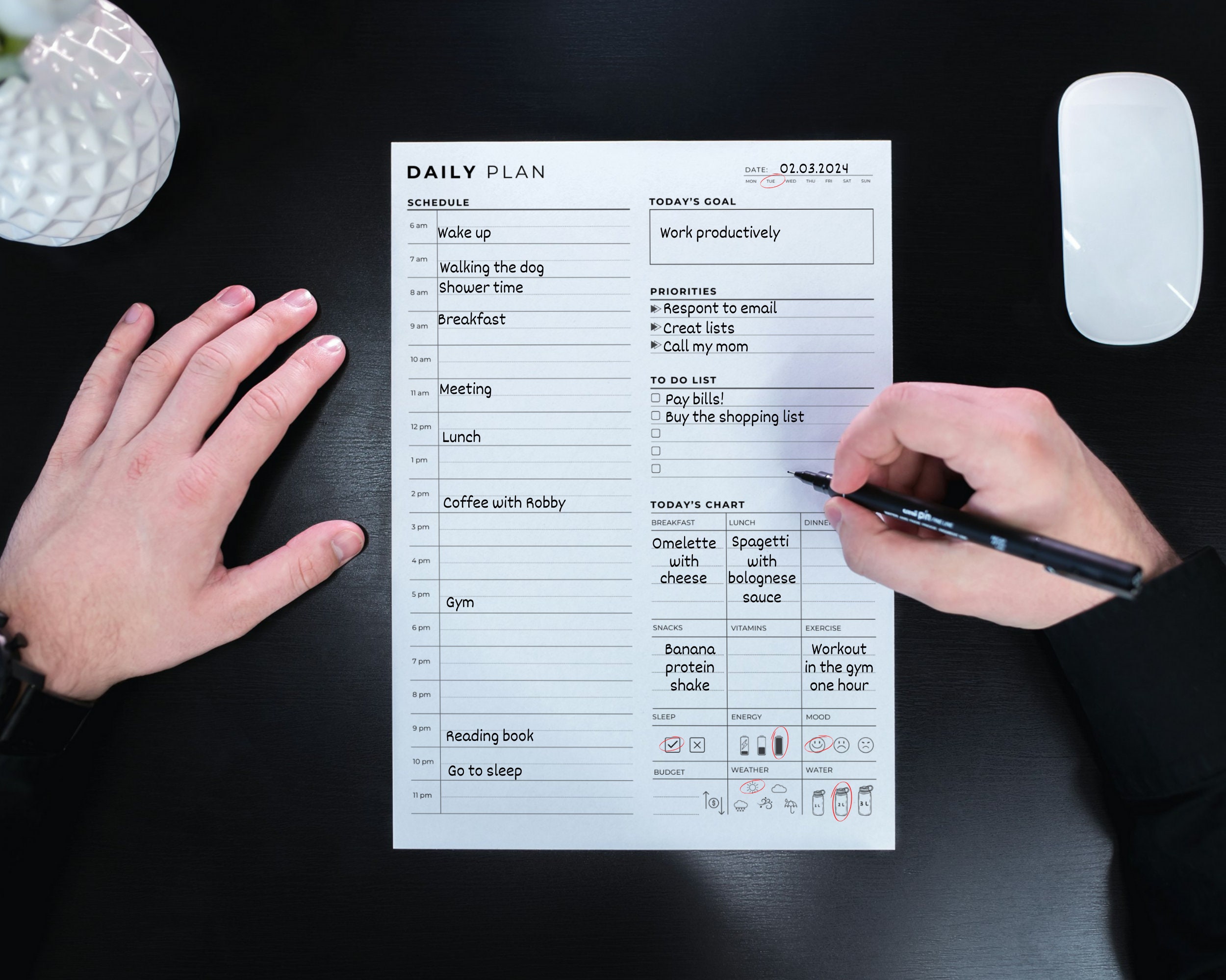 Daily Planner Printable, 24 Hour Planner, Daily Goal Planner, 30 Minute ...